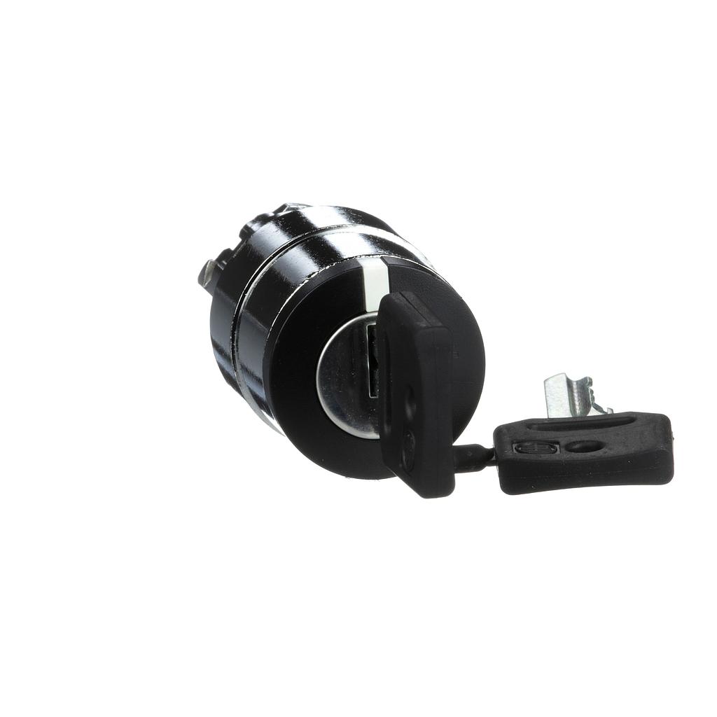 Berg P. TE key switch 2 pieces (keynr. 455) ZB4-BG2 | Groupe horticole ...